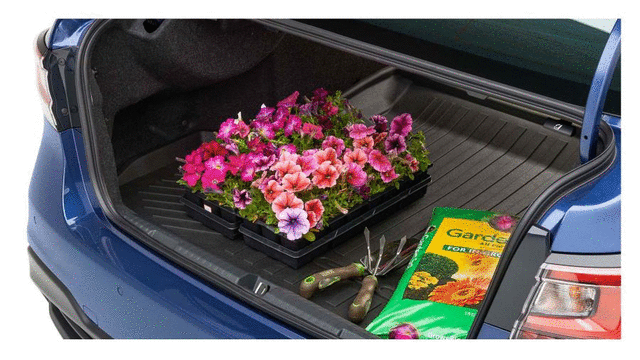 Shop OEM Interior Accessories | Buy Subaru Parts