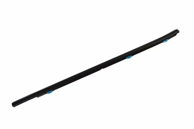 2019-2025 GM Front Passenger Side Door Window Belt Reveal Molding ...