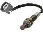 Honda Accord Oxygen Sensors | Genuine Honda Parts
